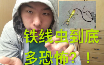 铁线虫到底多可怕?会威胁人类?揭晓铁线虫真面目