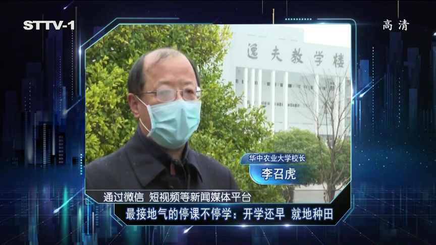 超长假期的实践报告该如何书写?