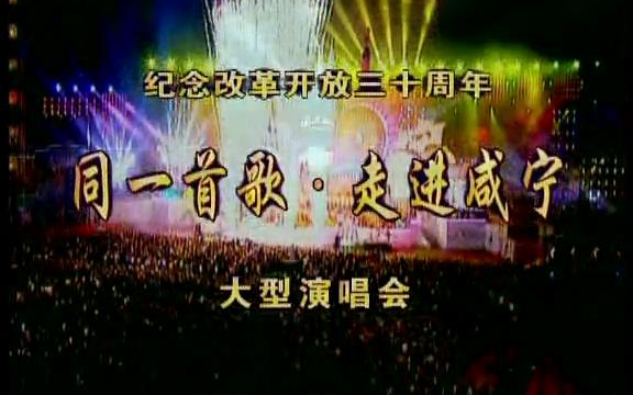 同一首歌-走进咸宁大型演唱会 (咸宁电视台录制版)