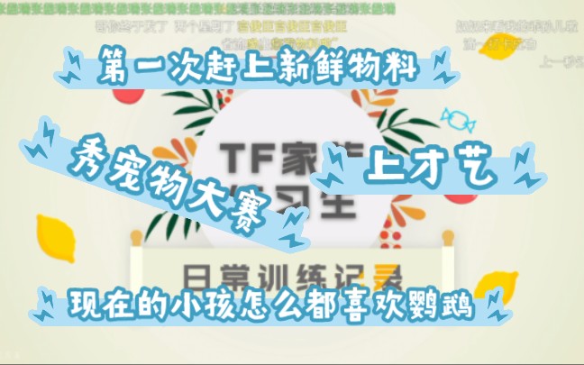 【TF家族四代reaction】第一次赶上新鲜物料,看孩子们花式秀宠物
