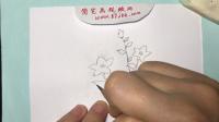 桔梗花简笔画视频