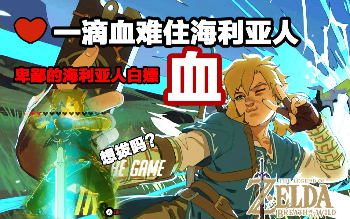 塞尔达传说萌新如何从女神手里快速获取30颗生命满精力