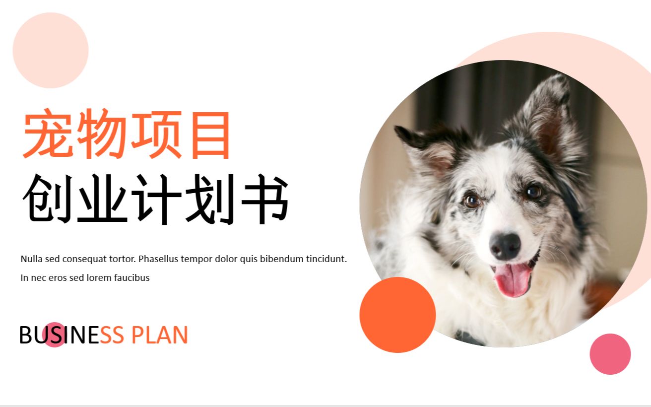 宠物项目创业计划书PPT