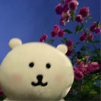 小雯爱唠嗑
