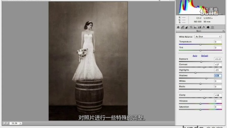 [婚纱摄影教程]6.5 使用Camera Raw完成项目