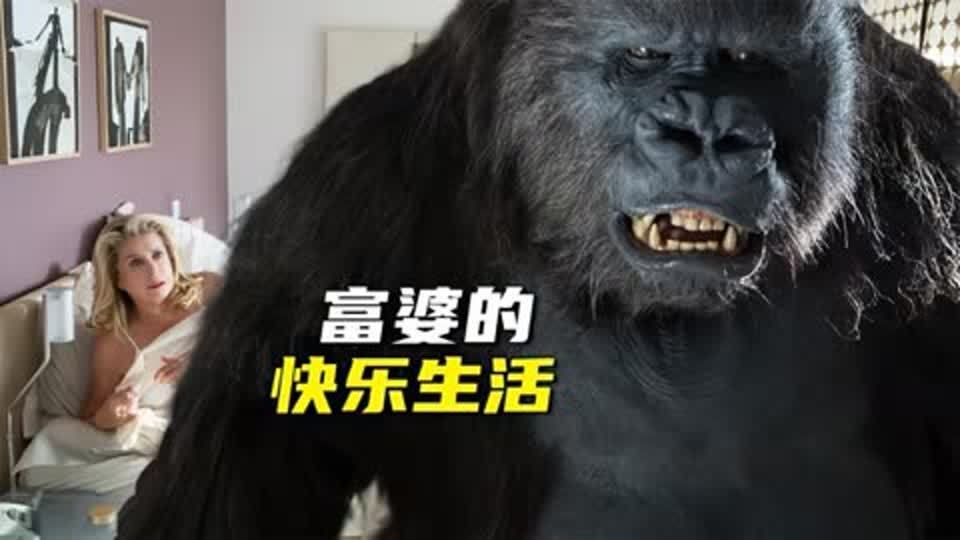 全程无尿点爆笑推荐,影史上最弱的上帝,用电脑编程控制世界