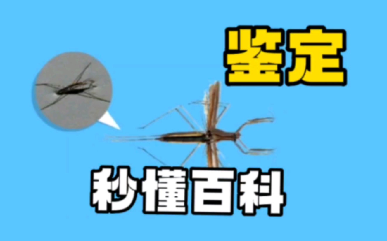 我的知识都是秒懂百科查来的?鉴定秒懂百科的错误