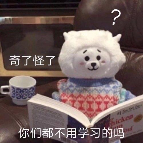 云上贵猪 