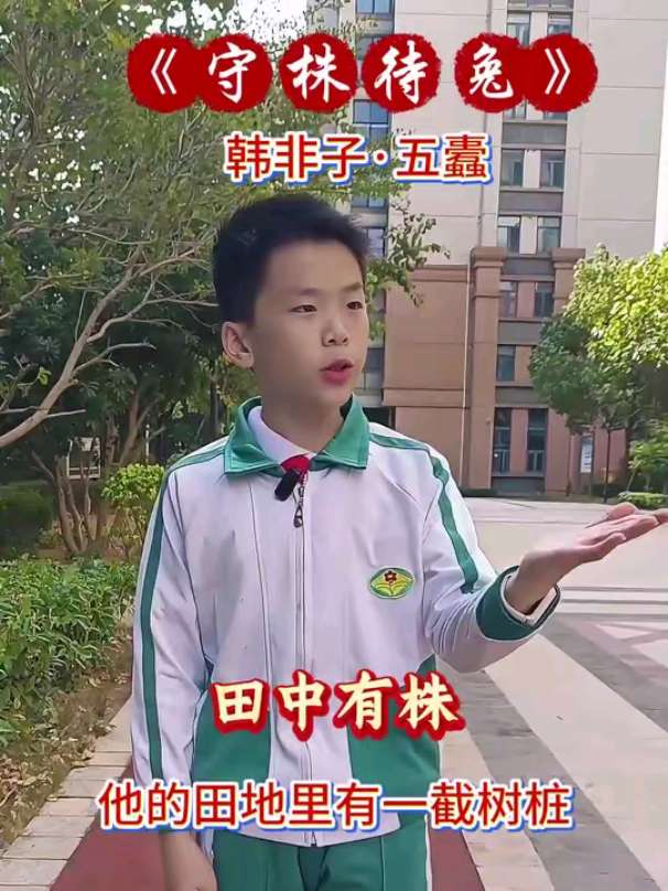 小学必背文言文#守株待兔文言文 #课文朗诵 #林恩之声