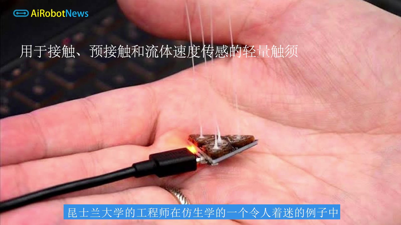 人造腮须---微型无人机的轻型触须传感器