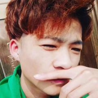 喵鸽游戏酱