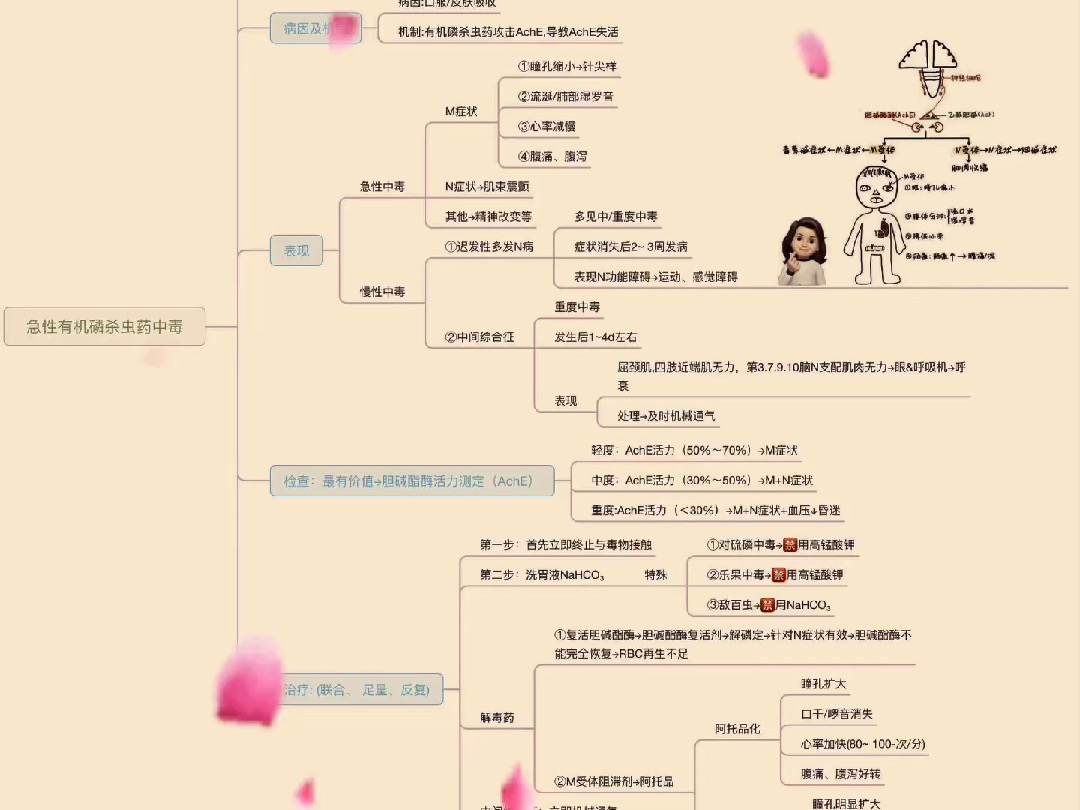 中毒-有机磷中毒知识点(思维导图知识卡片)