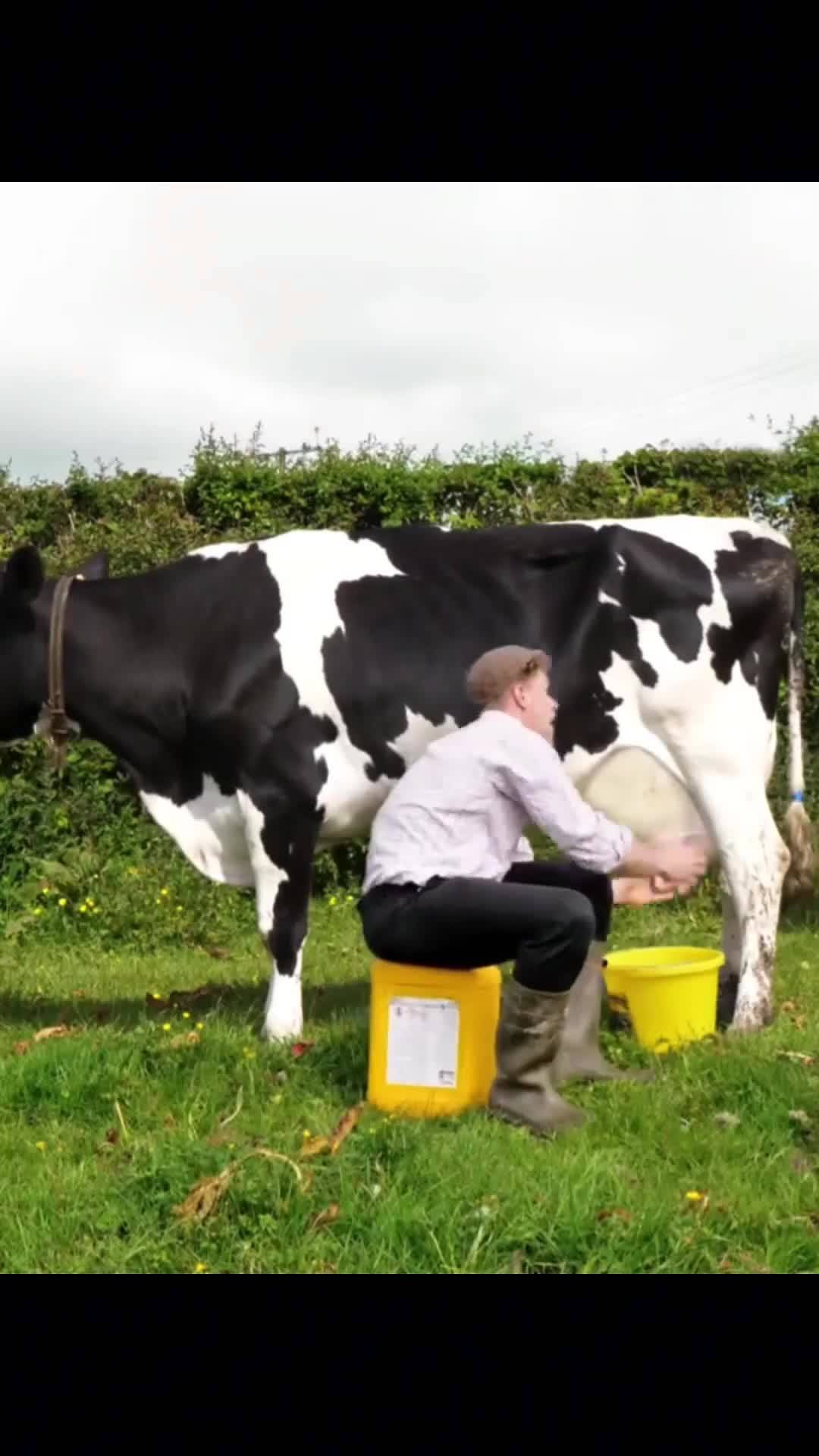 才艺:仅推荐给有微缩模型制作细胞的人