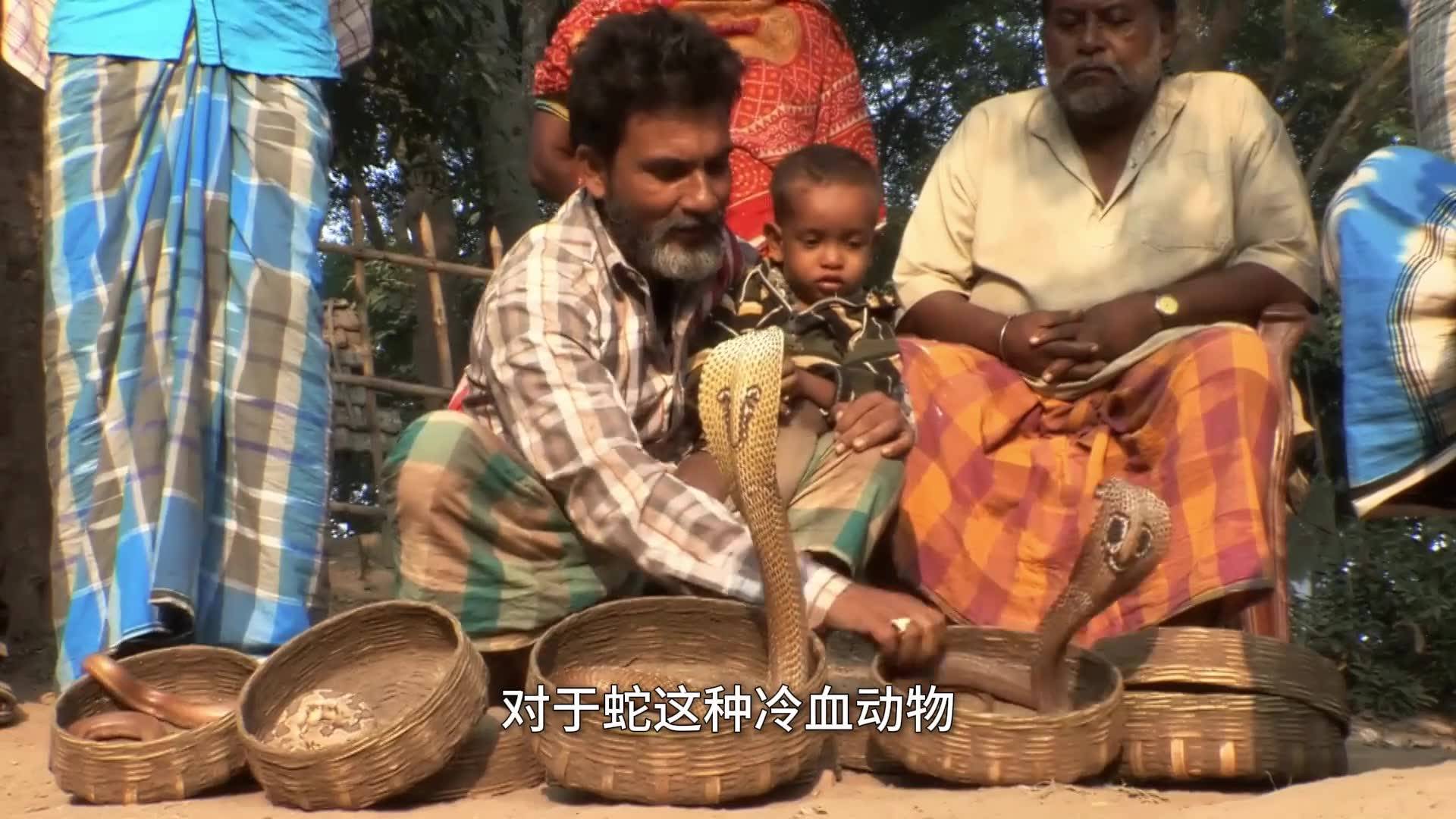 印度底层人民的生活(3)