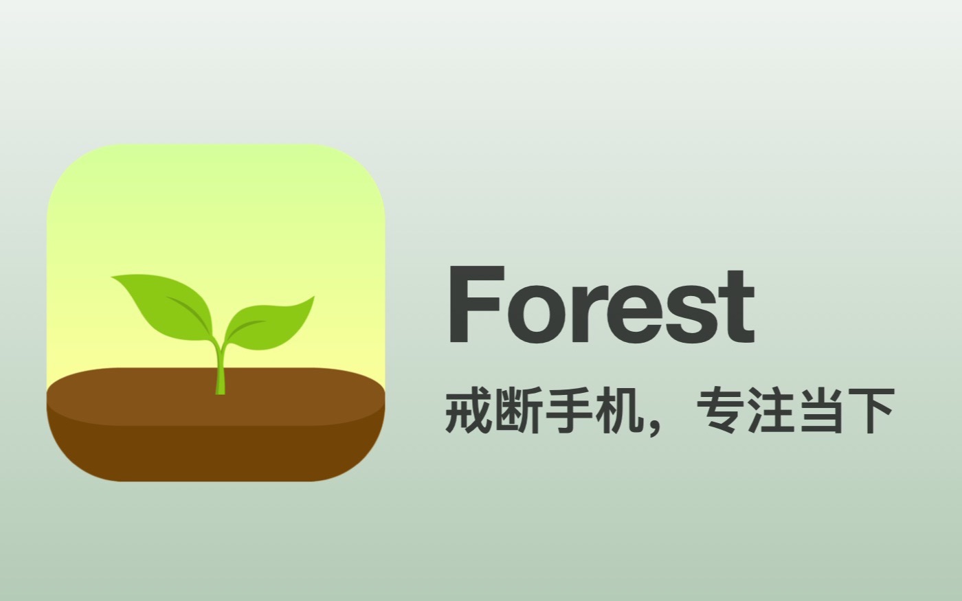 Forest凭什么常年霸占效率类app下载量榜首|效率app推荐
