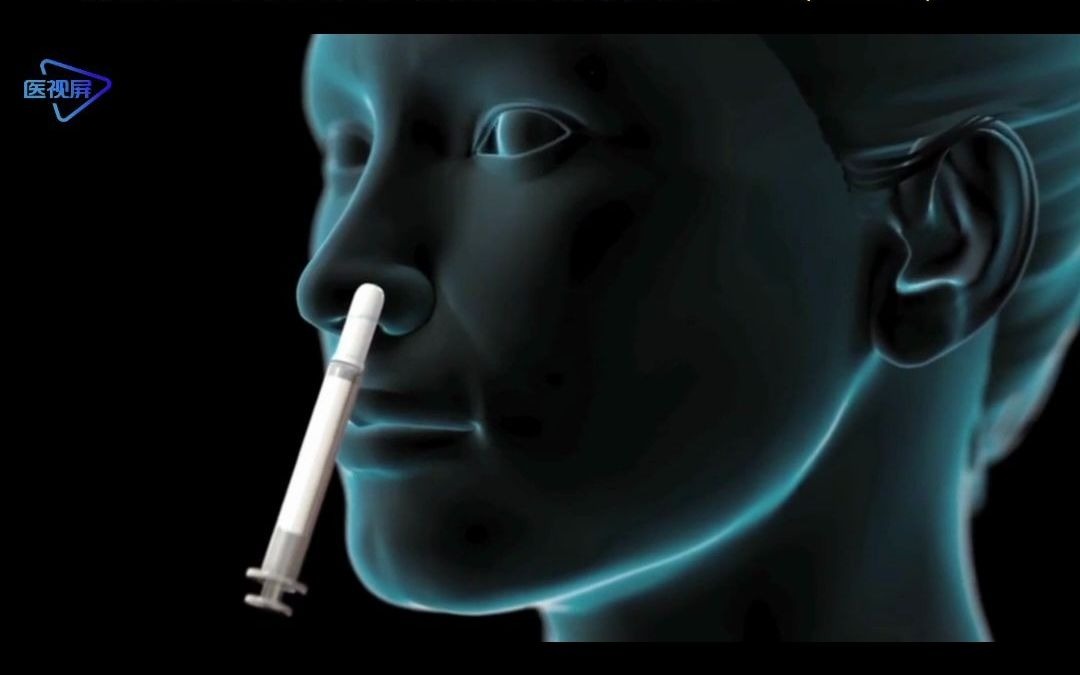 动画演示:流感的发病机制(二)