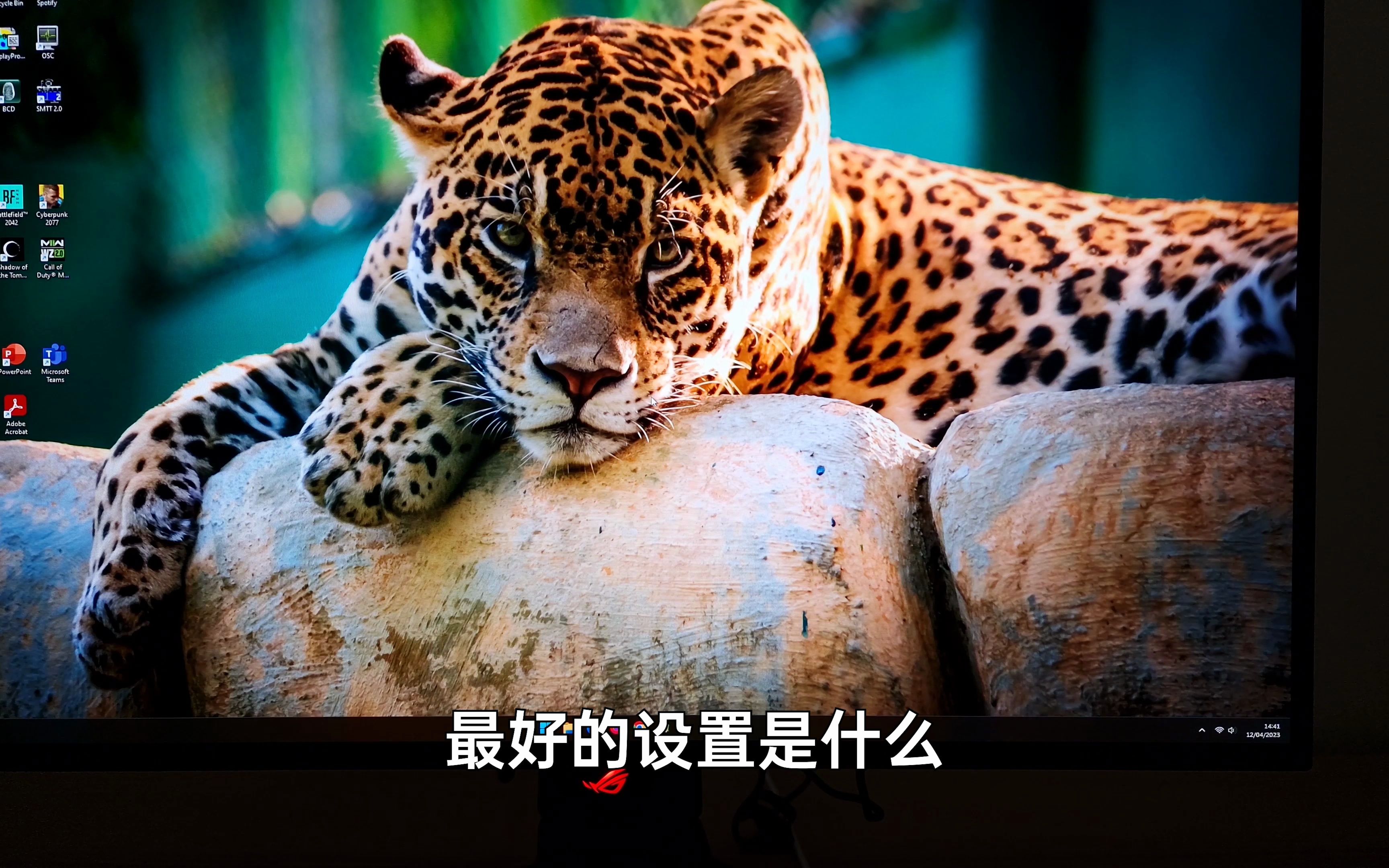 华硕 ROG PG27AQDM 推荐的设置方法