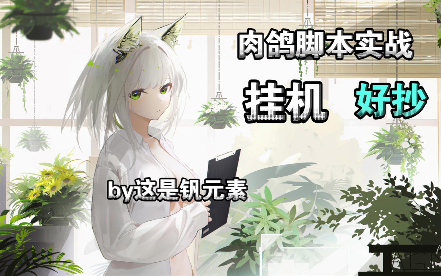 肉鸽脚本实战(画质低)