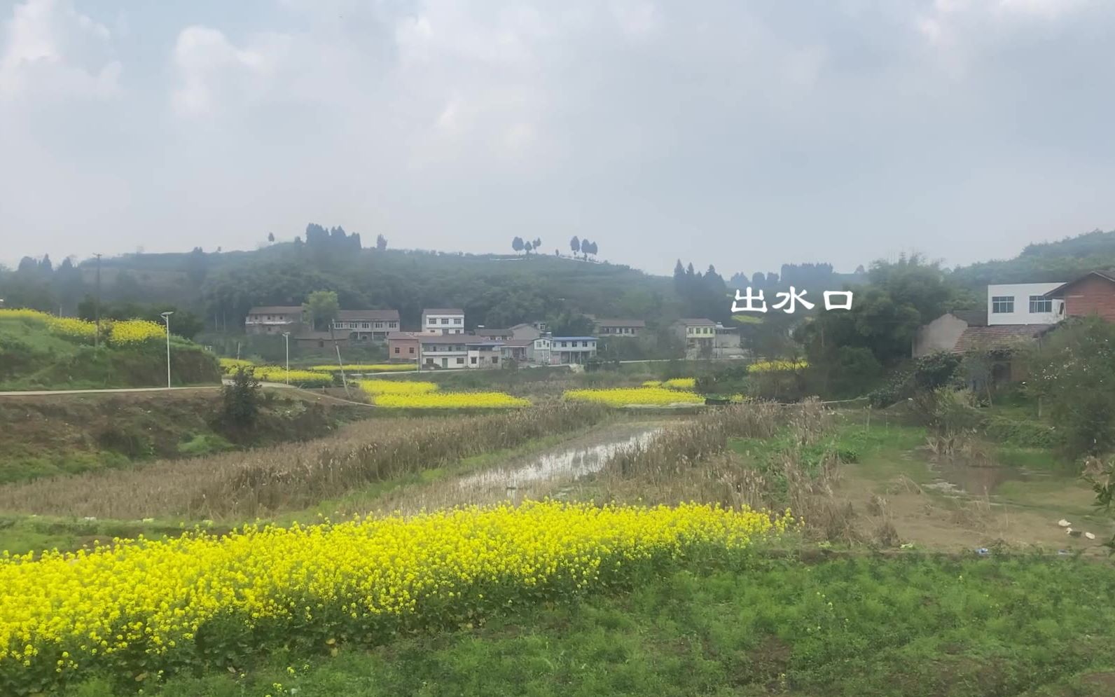 学看风水视频,大家看看这个墓地是不是真龙真穴,坟墓石碑记载有立向