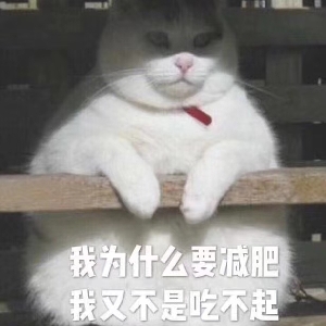 小刀刀的日常 
