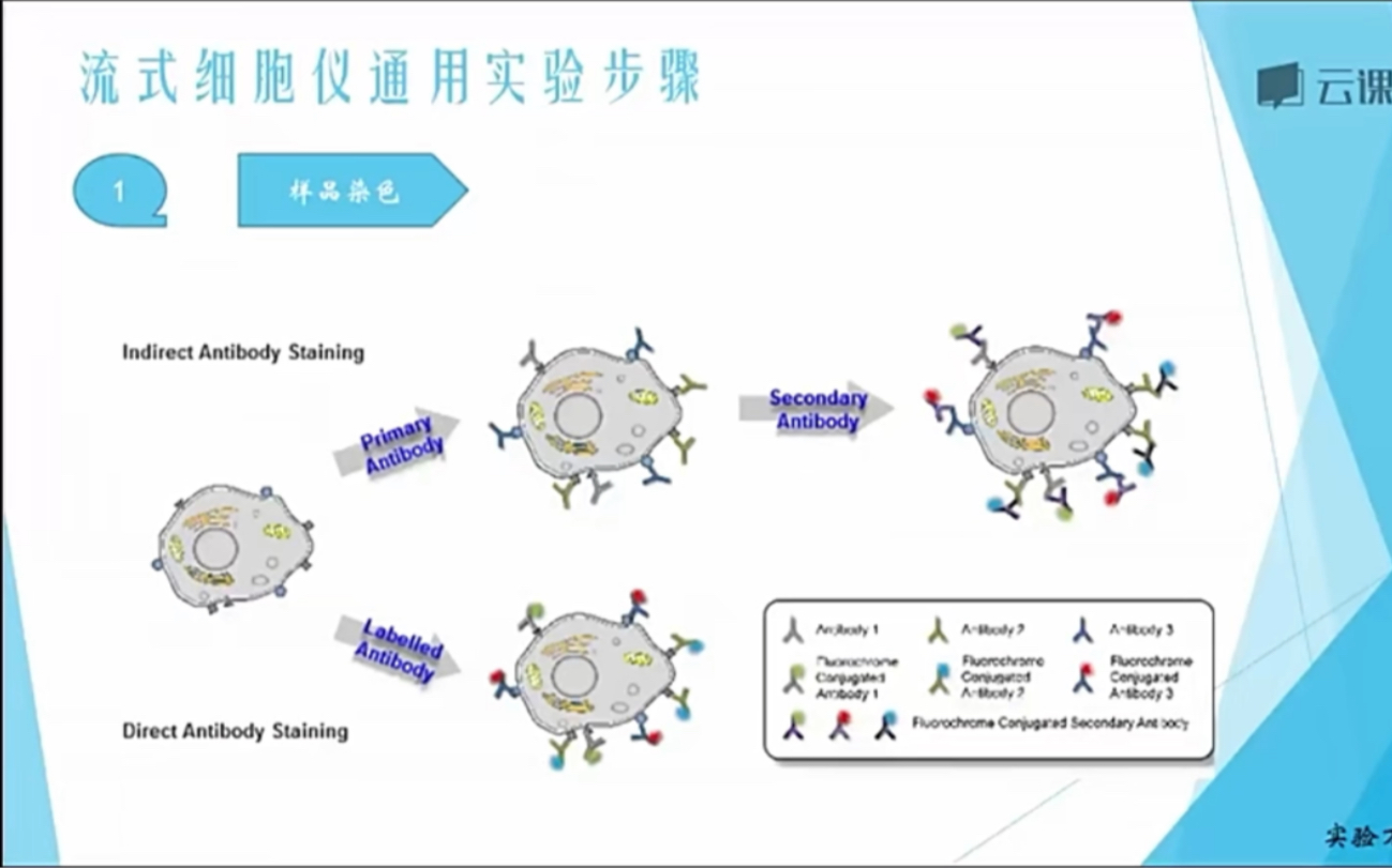 实验万事屋——分子生物学中级:流式细胞仪