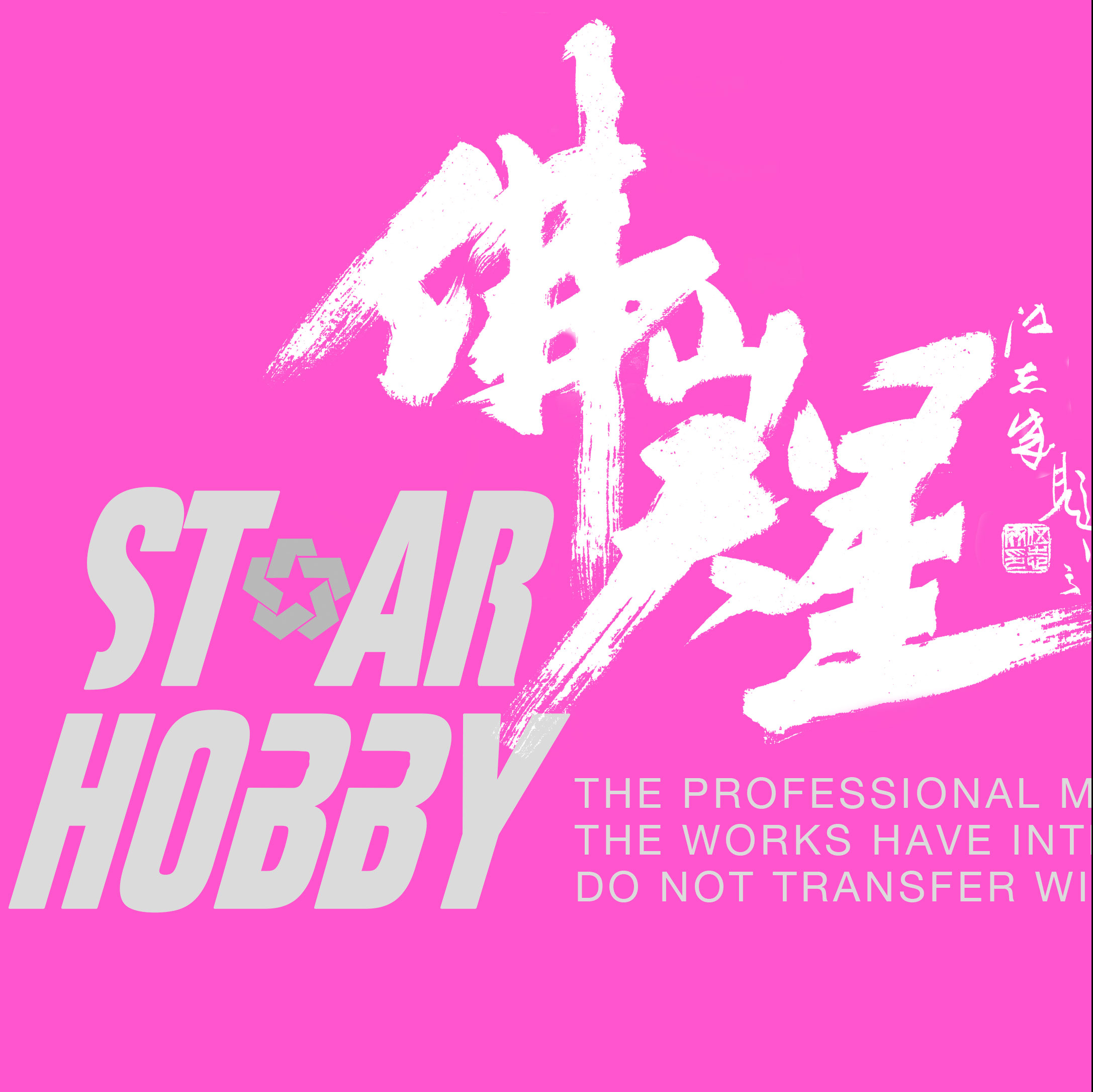 佛山天星模型 