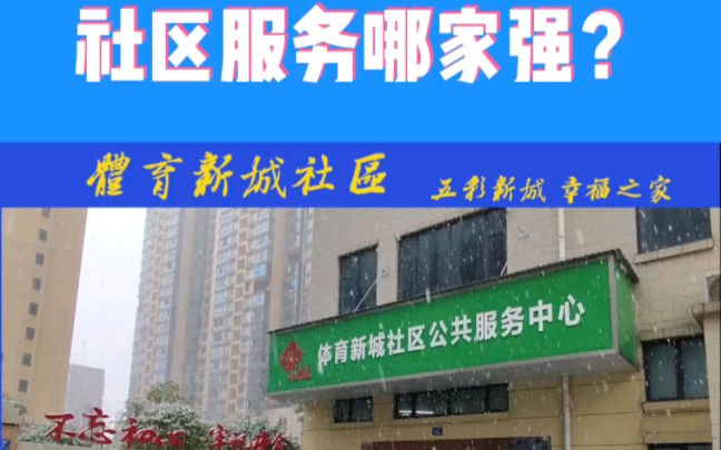 社区服务哪家强?