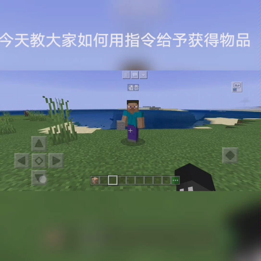 我的世界 给予 活动 指令