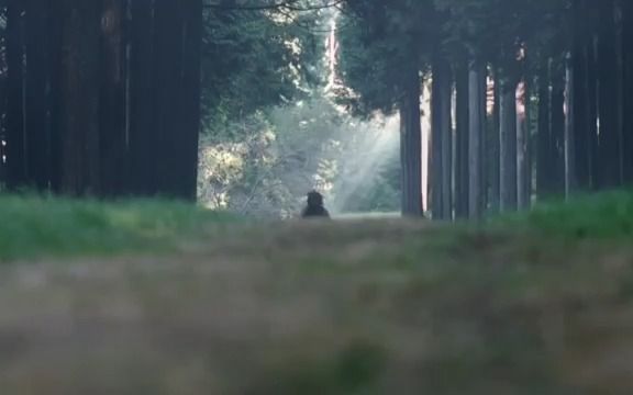 【日本CM】au三太郎金太郎忍著淚獨自去治鬼帶出感人的男兒友情 (...