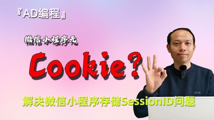 AD编程:解决微信小程序存储SessionID问题
