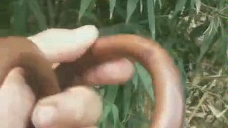 乾坤圈道教法器本词条是多义词,共3个义项阴阳环,又称乾坤圈,为道家...