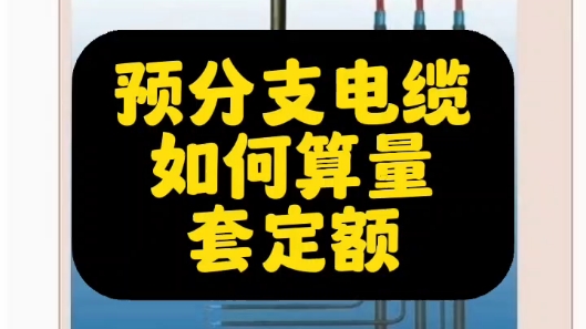 预分支电缆如何算量和套价套定额【水木造价】0基础学广联达,0基础...