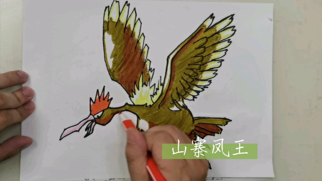 【新手学画】精灵宝可梦之大嘴雀简笔画