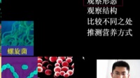 第5单元第4章 细菌和真菌 5.4.2 细菌 细菌结构