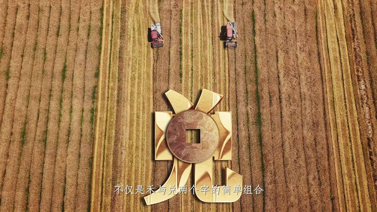 合规经营诚信纳税#铸牢中华民族共同体意识