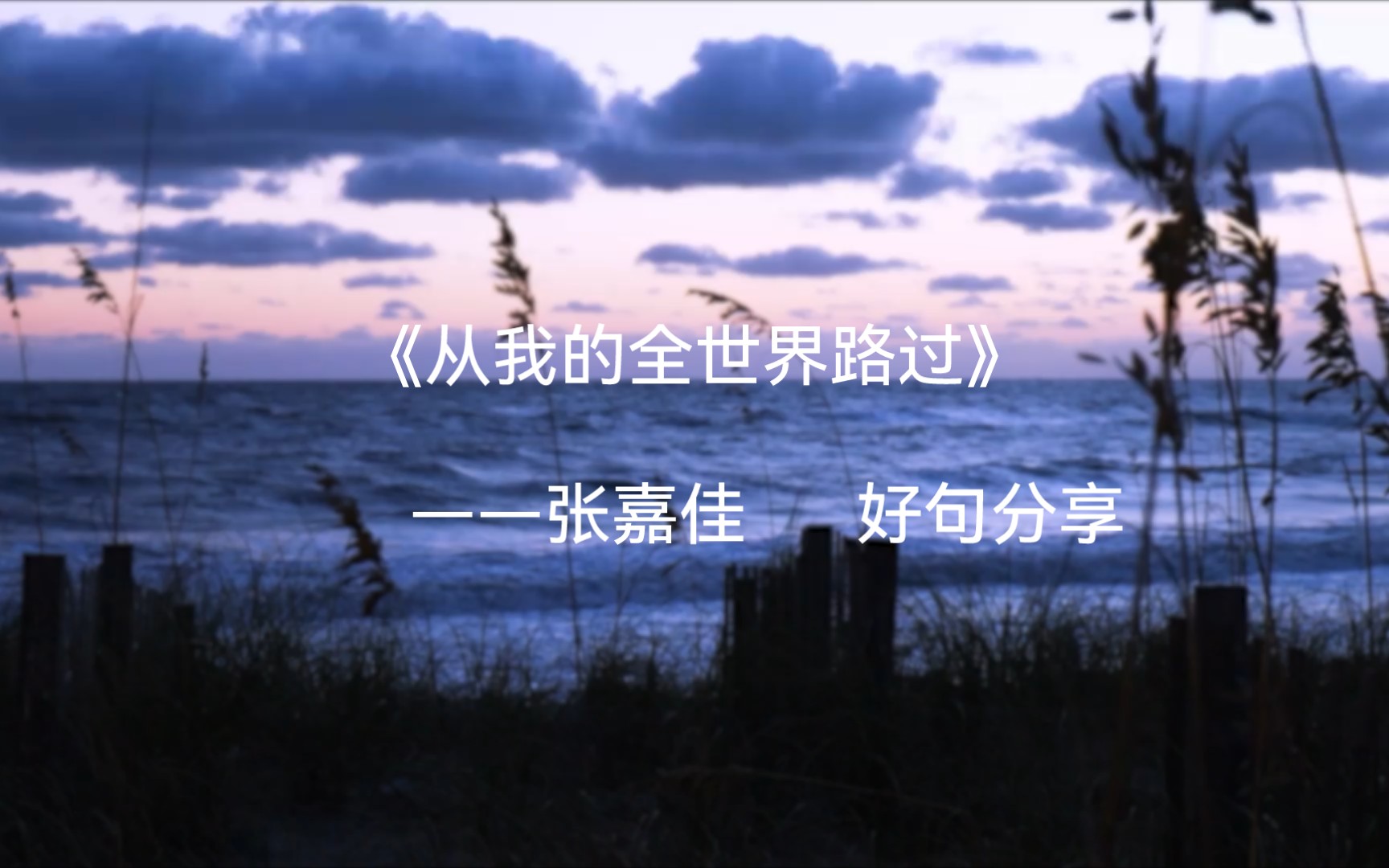 世事如书,我偏爱你这一句,愿做个逗号,待在你脚边。但你有自己的朗读...