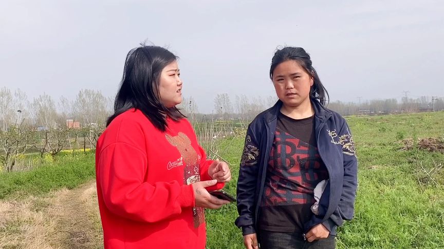 丹丹的微信登不上了,为什么却找不来好友帮忙验证?看丹丹咋说