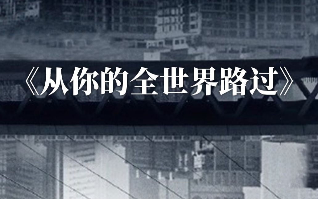 每日一书:《从你的全世界路过》