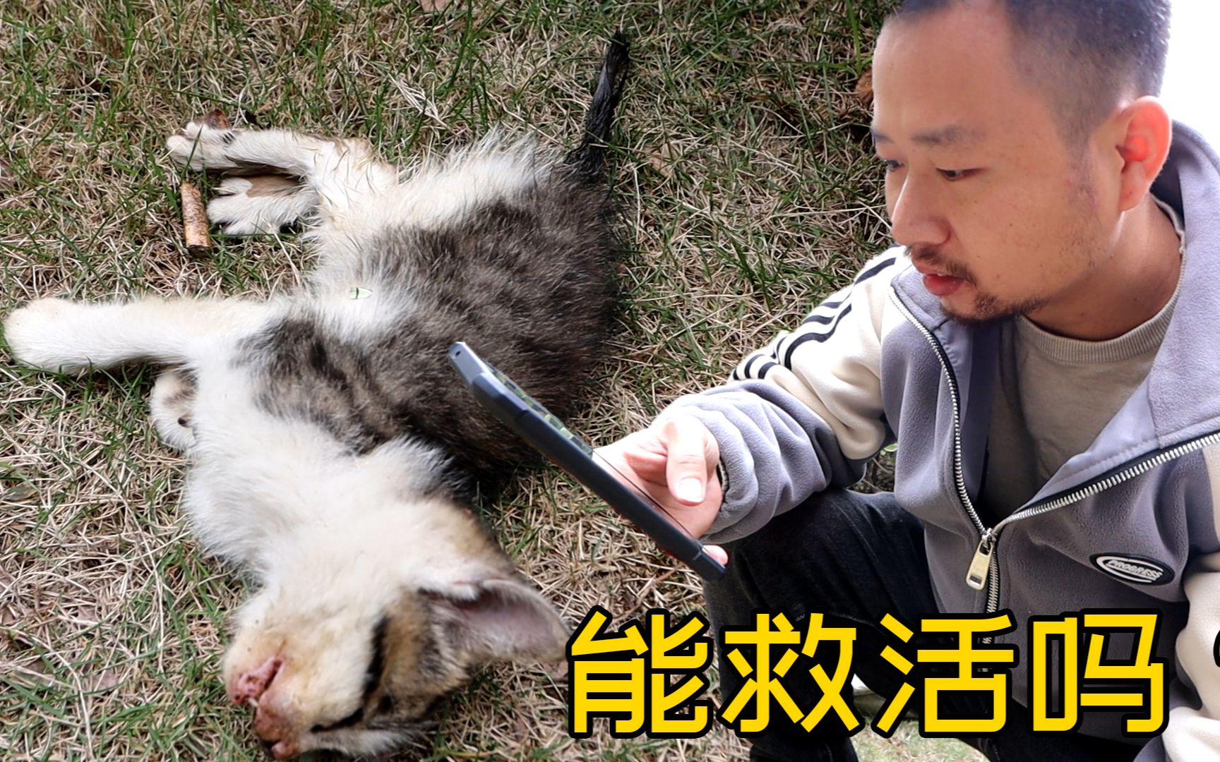 拍24小时湿厕纸挑战 意外捡到奄奄一息的小猫咪!