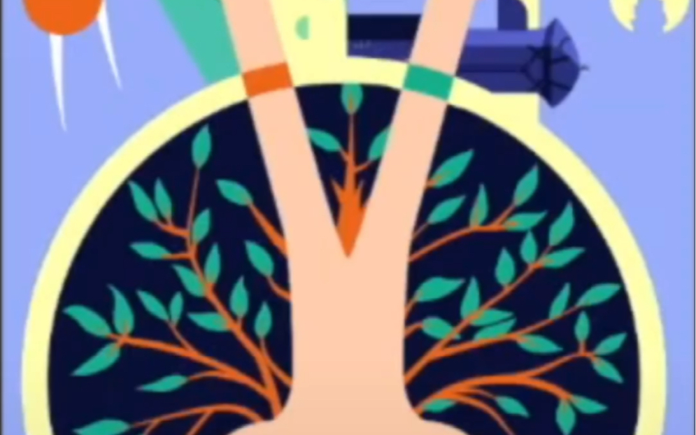 ...CC」如何把手绘草稿变矢量插画?Iris勾线全流程。下一期上色教程 #...