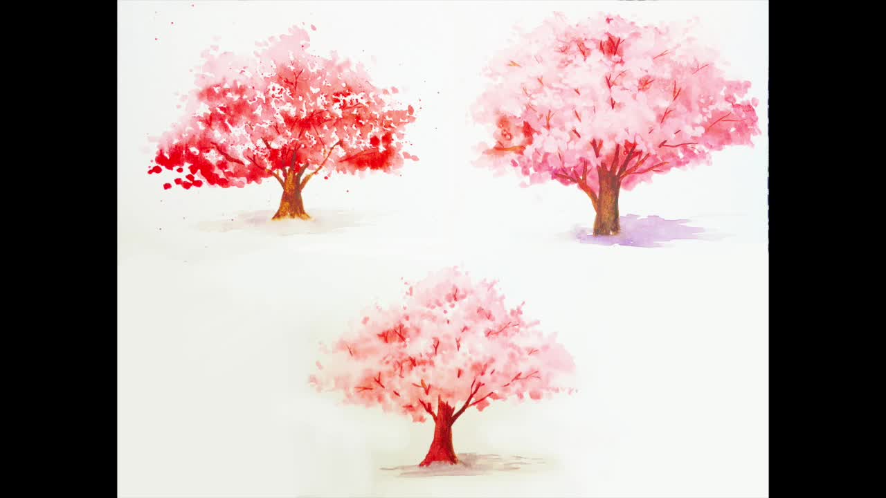 樱花树的三种水彩画法