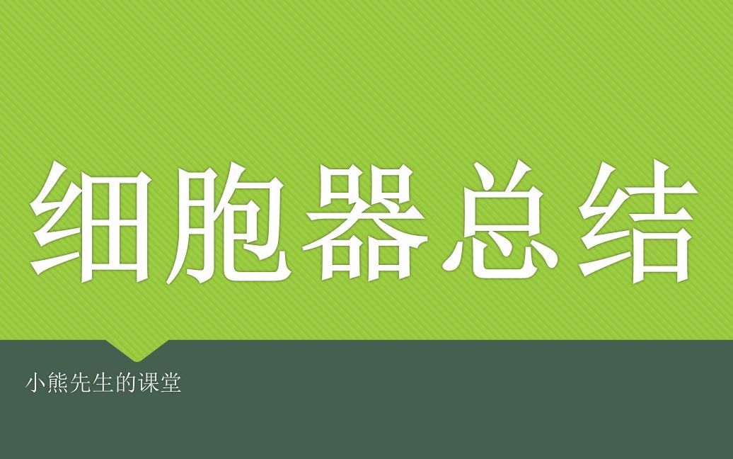 【小熊先生的课堂】【中学生物】细胞器总结