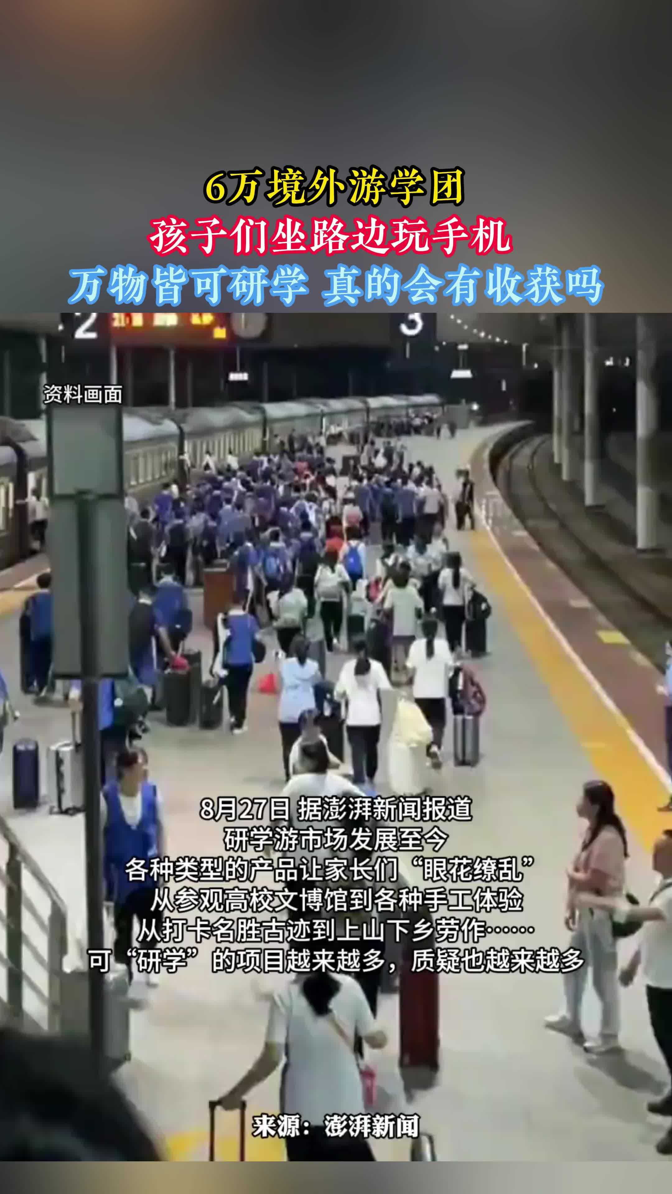 6万境外游学团孩子们坐路边玩手机!万物皆可研学