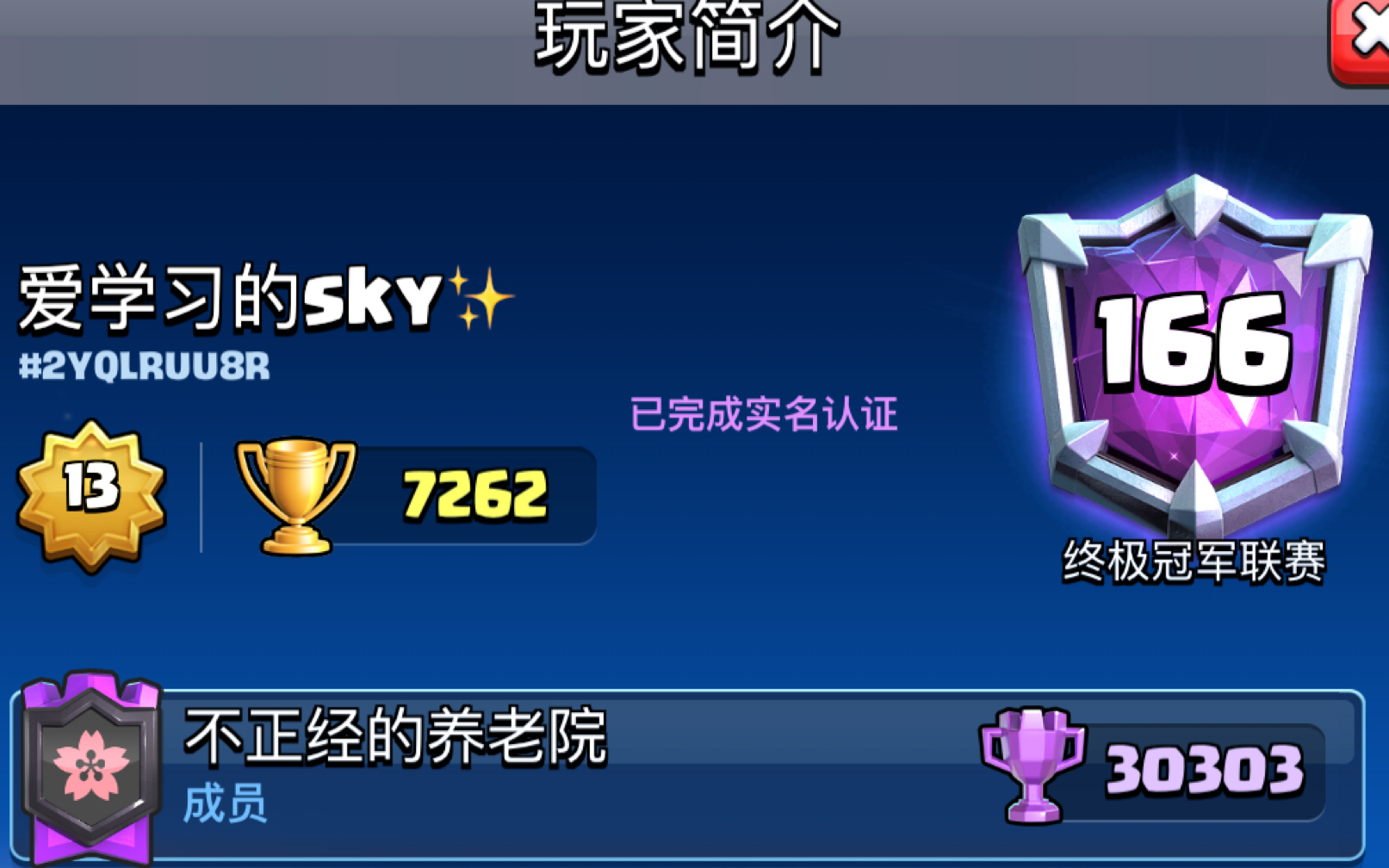 国服最强非职业黑王皮卡锤!爱学习的sky顶级天梯实战!