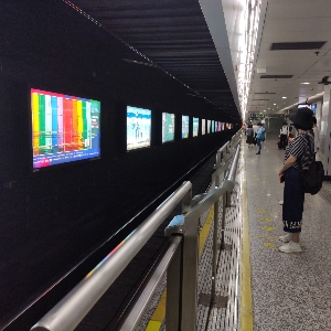 兔子罗杰75 