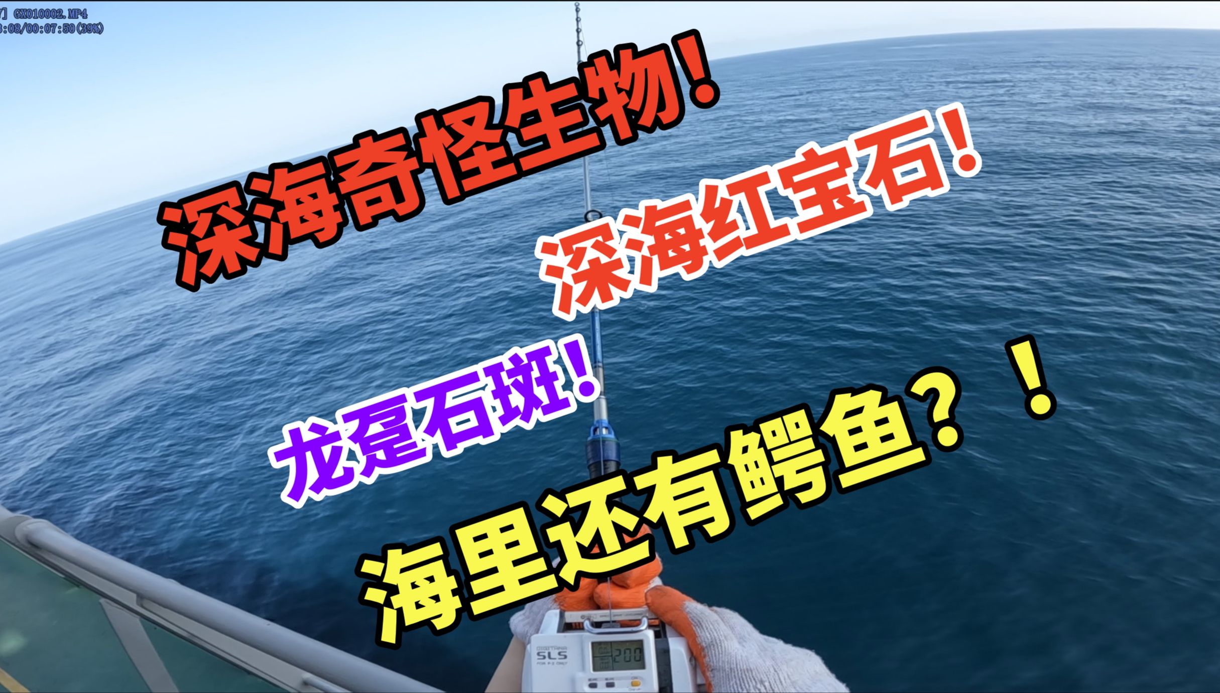上课!今日课程:深海钓鱼!跟随船长,来场真正海钓!