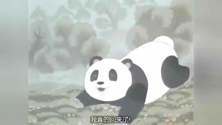 回忆童年动漫,熊猫的故事