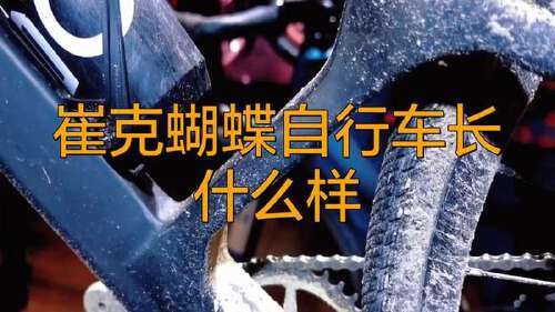 天价自行车揭秘!崔克蝴蝶真容,竟贵过一辆豪车?