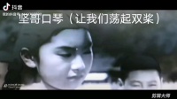 口琴演奏(让我们荡起双桨)