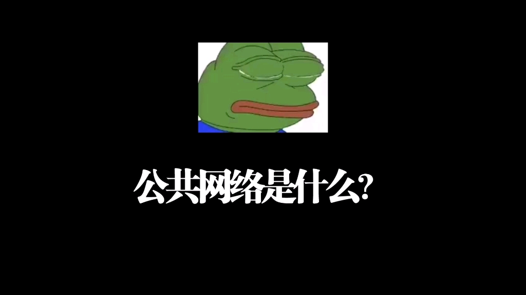 一句话讲明白,公共网络是什么?